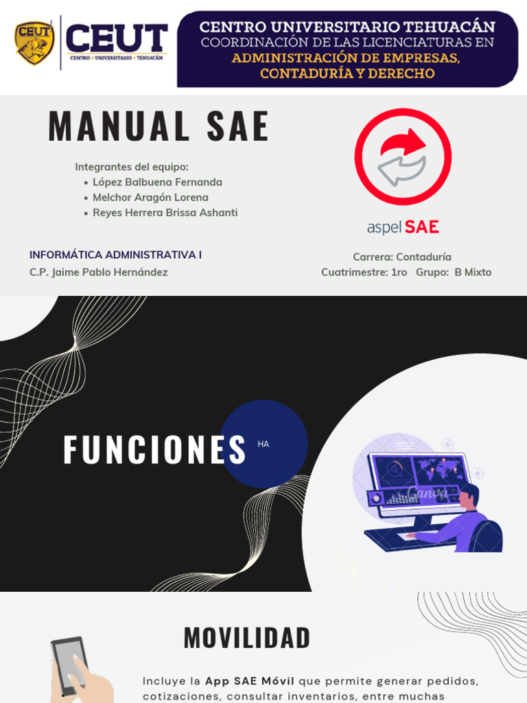 Manual Sae | PDF | Contabilidad | Ventana (informática)