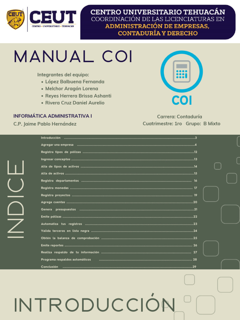 Manual Coi | PDF | Botón (Computación) | Contabilidad