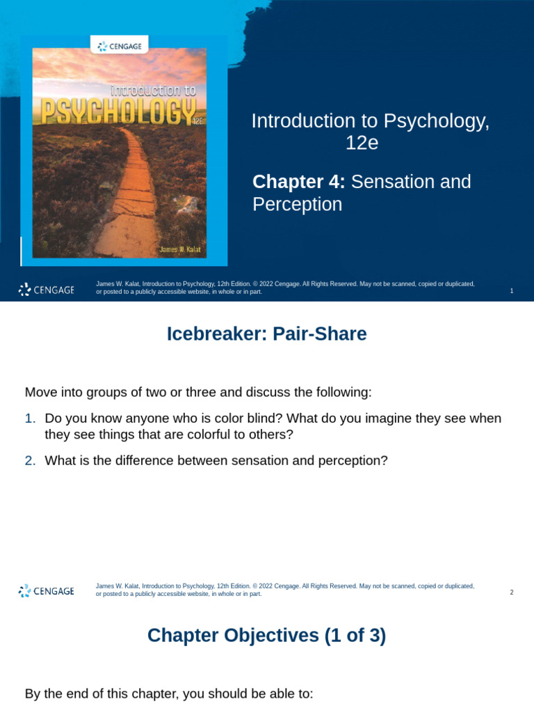 Kalat IntroPsychology 12e PPT CH04 GOLD | PDF | Color | Senses