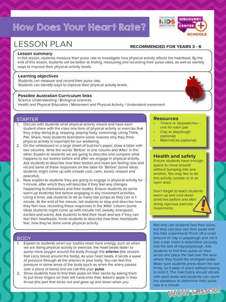 Heart Rate Lesson Plan for Kids | PDF | Heart | Pulse