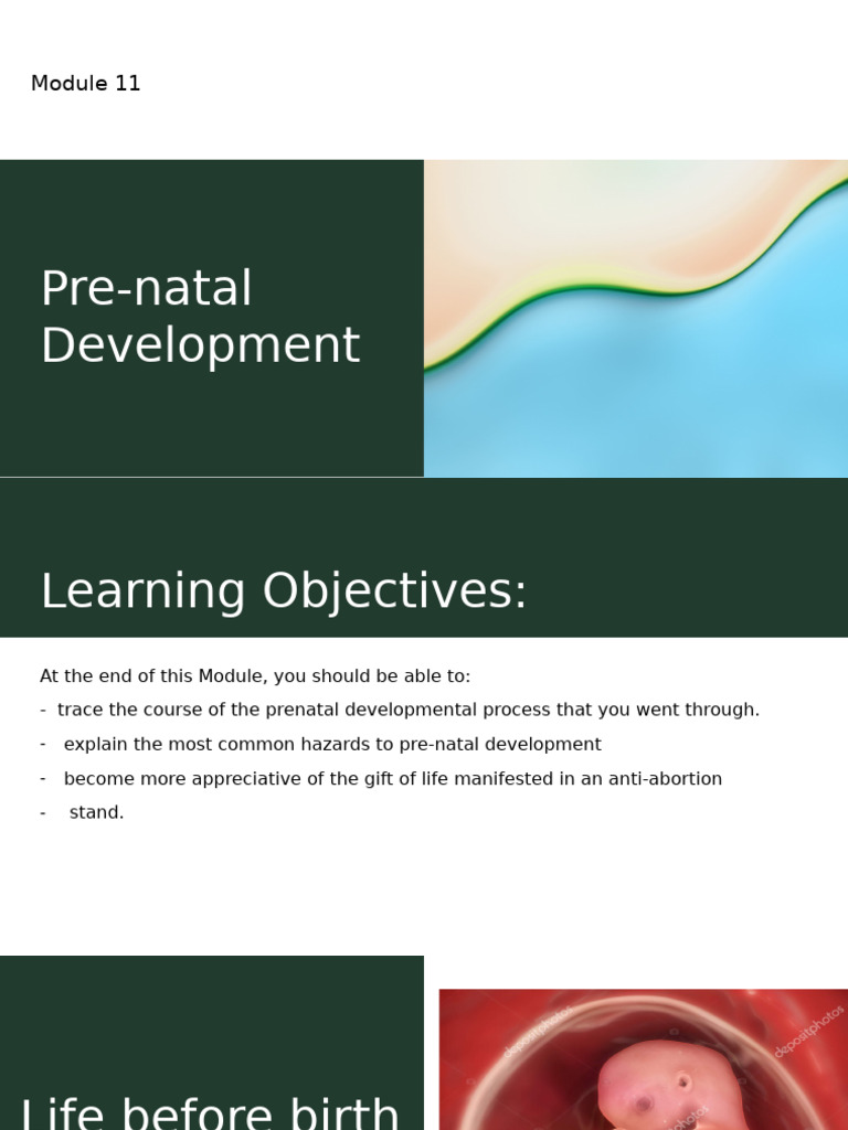 Module 11 Pre Natal Development | PDF | Prenatal Development | Fetus