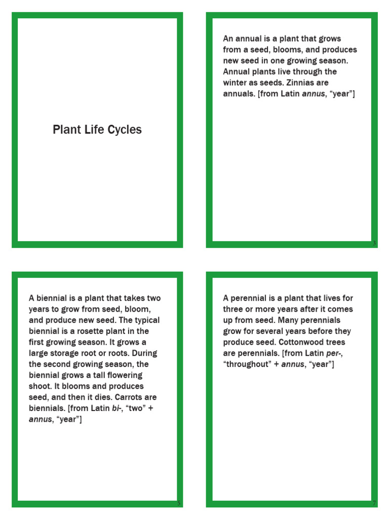 A2. Plant Life Cycle2 | PDF