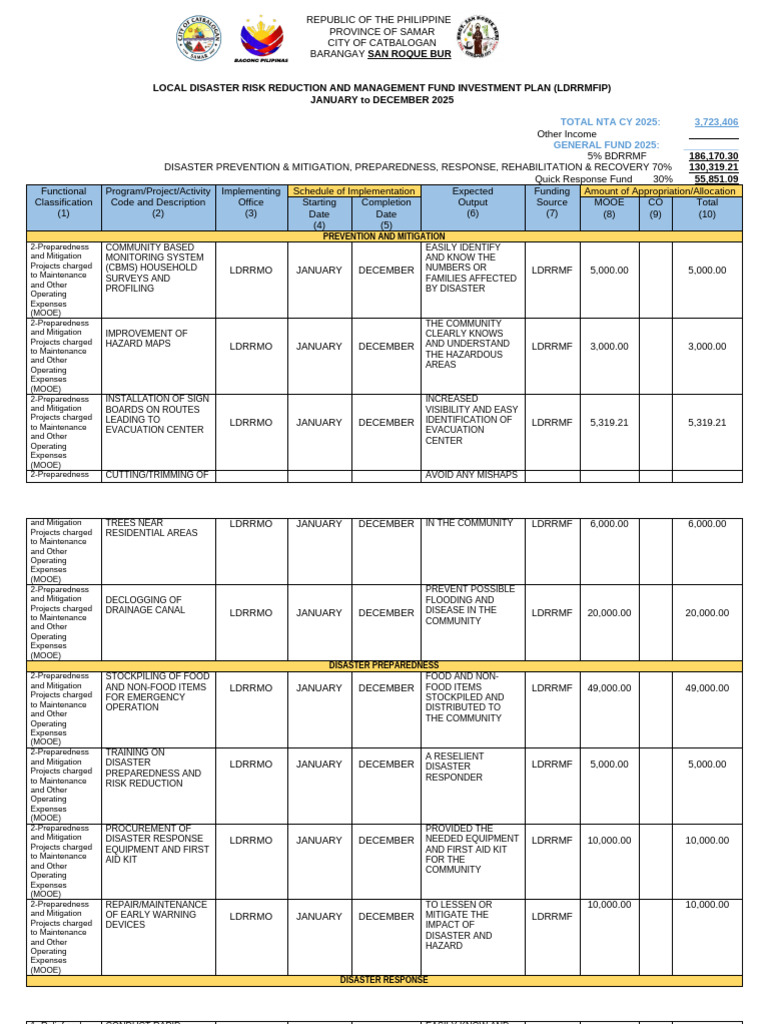 LDRRMF Investment Plan 2025 | PDF | Emergency Management | Hazards