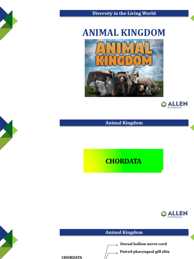 Animal Kingdom- Chordates | PDF | Amphibian | Vertebrates