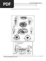 XI BIOLOGY Practical Materials 2025-26 | PDF | Flowers | Branches Of Botany