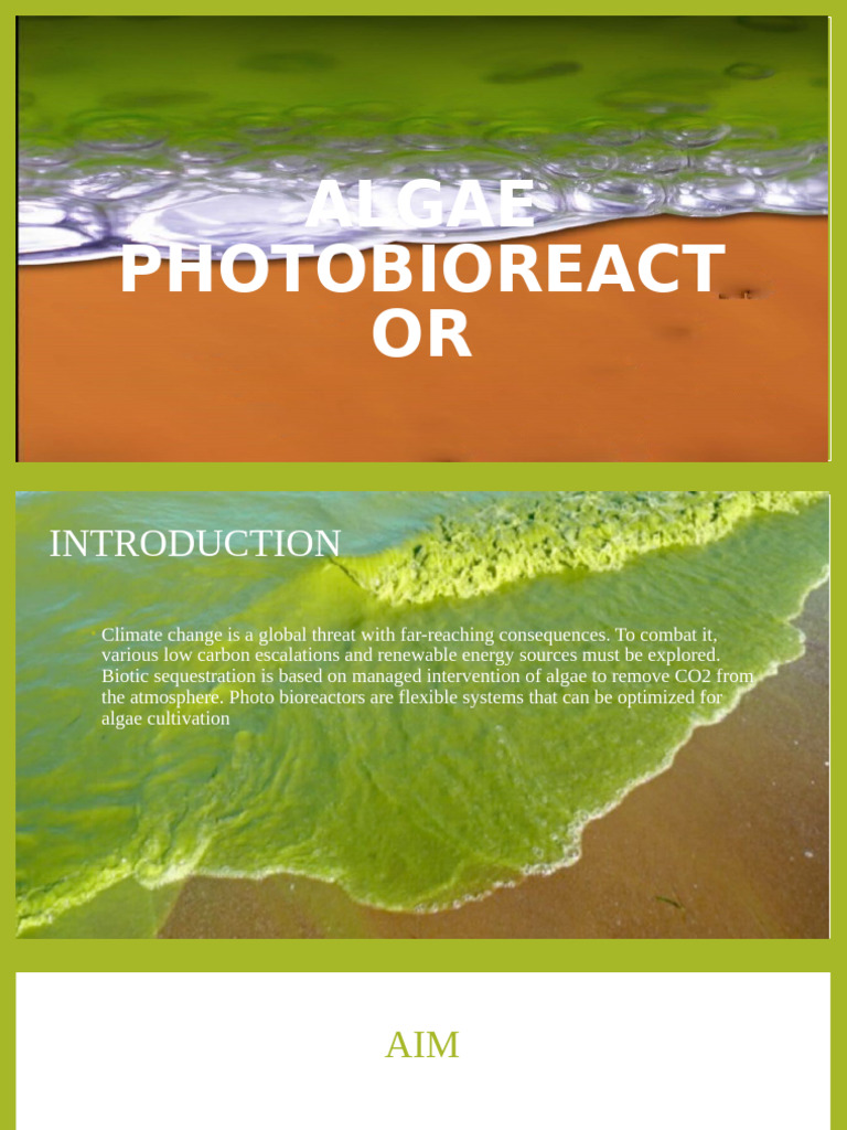 Algae Photobioreactor | PDF