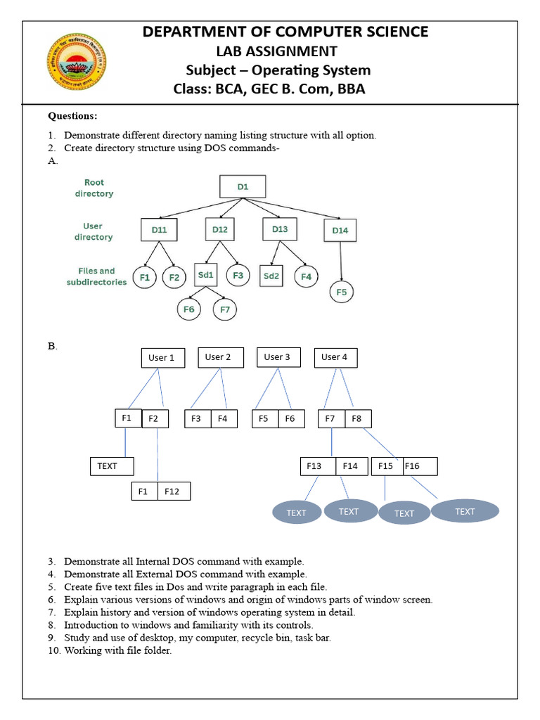 OS Assignment BCA,BCOM,BBA | PDF