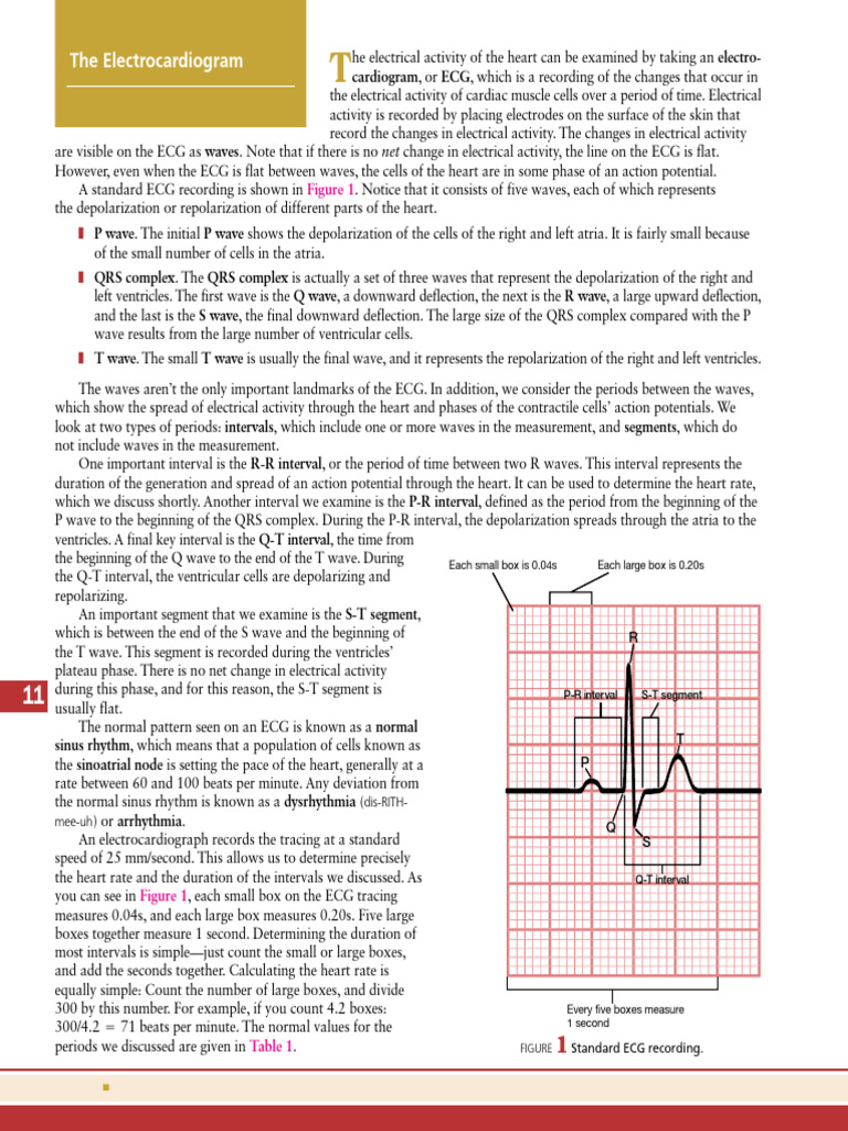 ECG (2) | PDF | Electrocardiography | Internal Medicine