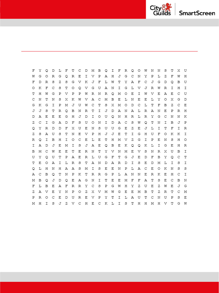 8064 - l2 - 205 - WS3 - Learner 2 | PDF