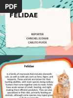 Wild Cat Family List by Lineage - Family | PDF | Felidae | Panthera