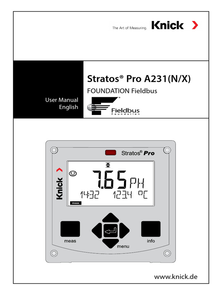 Manual Stratos Pro A231 N X Foundation Fieldbus en Knick | PDF | Sensor ...