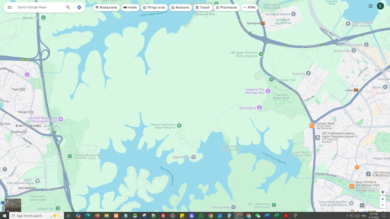 Forest Map - Part5 | PDF