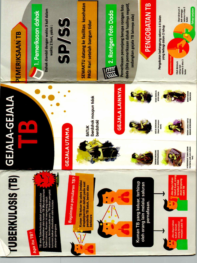 Scan Leaflet TB | PDF