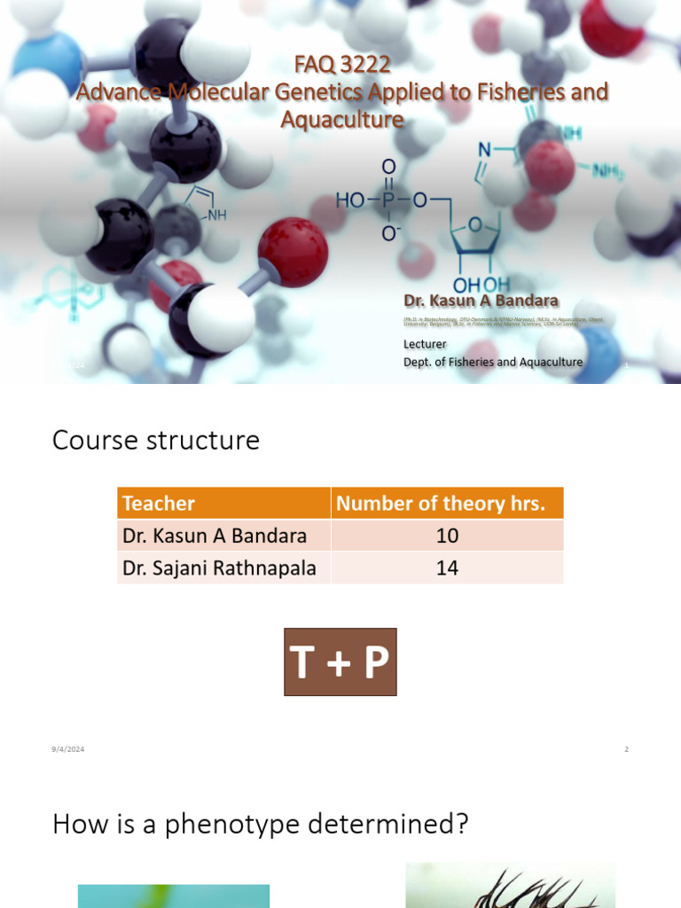 FAQ 3222 - Advanced Molecular Genetics - 2024 | PDF | Translation ...