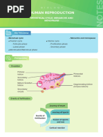 Menstrual Cycle Graph | PDF