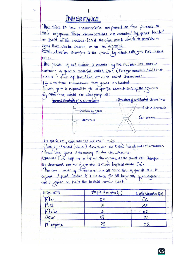 Inheritance Notes | PDF