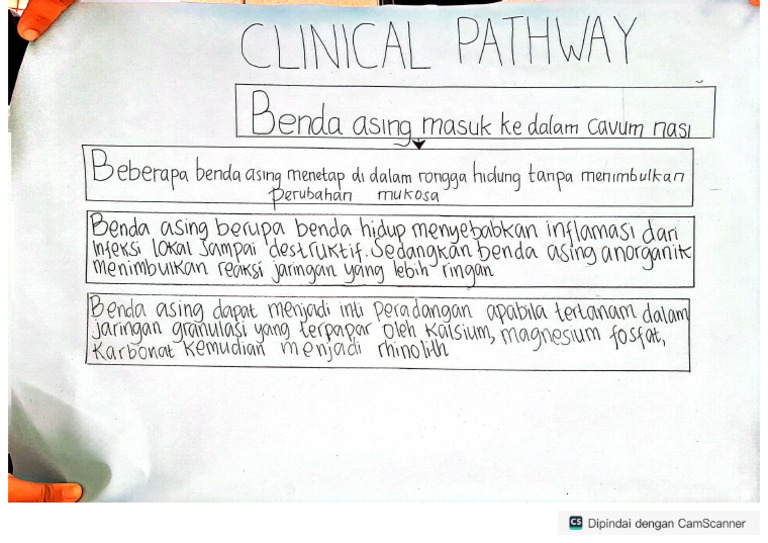 Terminologi 2 | PDF