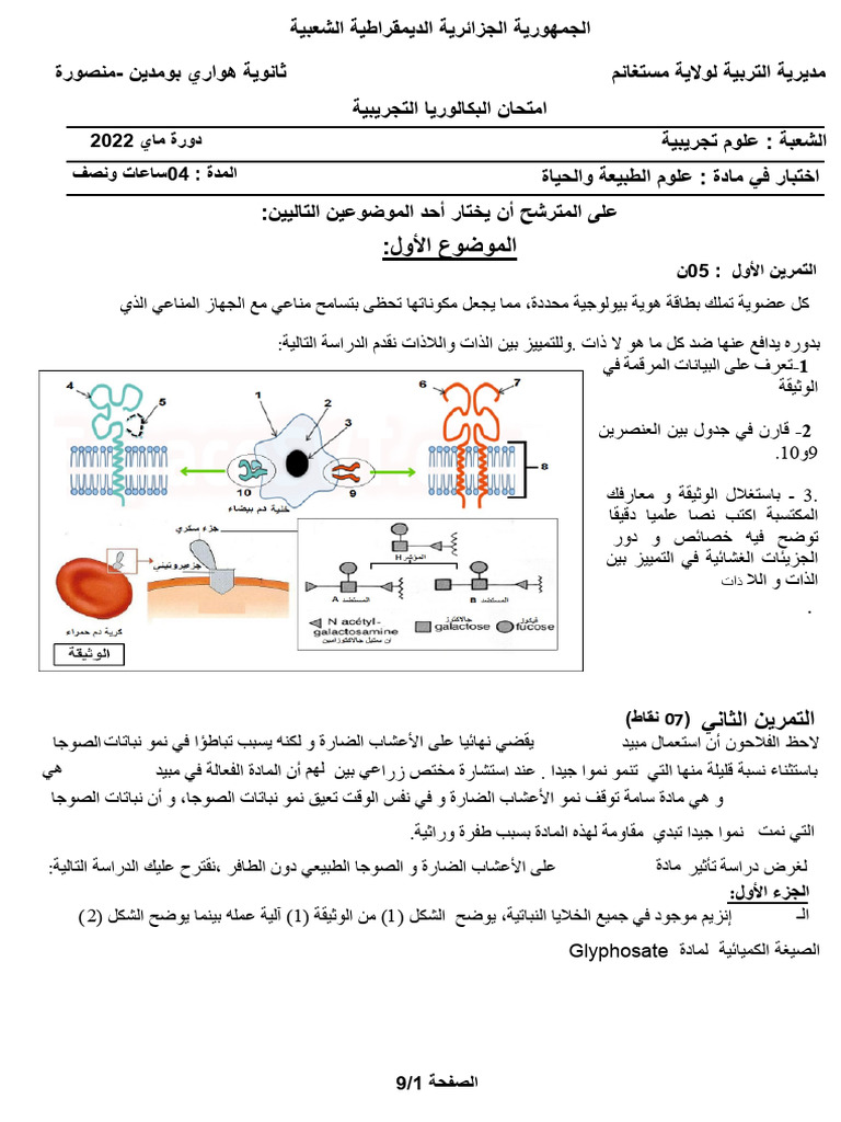 BAC1 | PDF