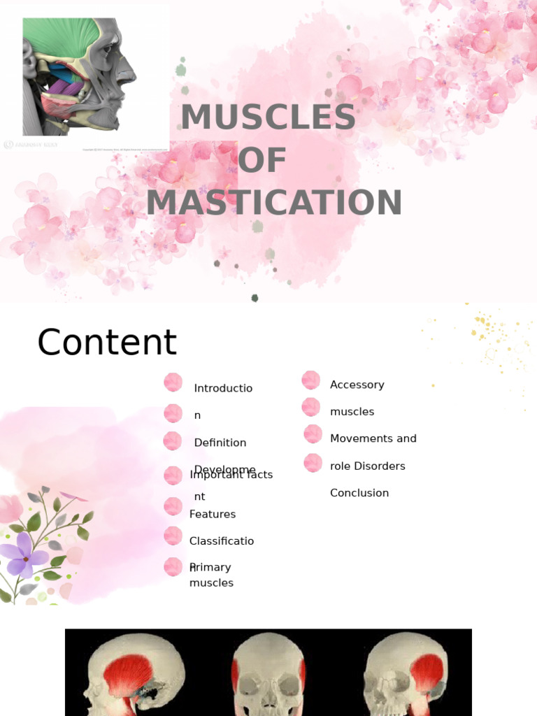 Muscles of Mastication.. | PDF | Soft Tissue | Musculoskeletal System