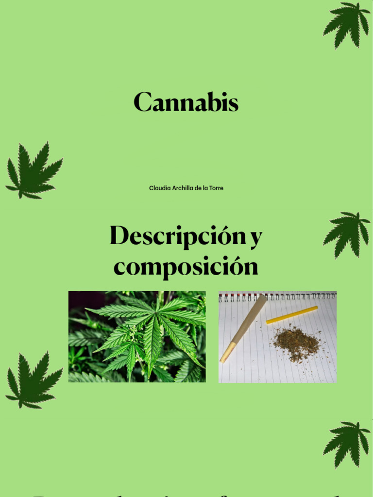 Cannabis | PDF