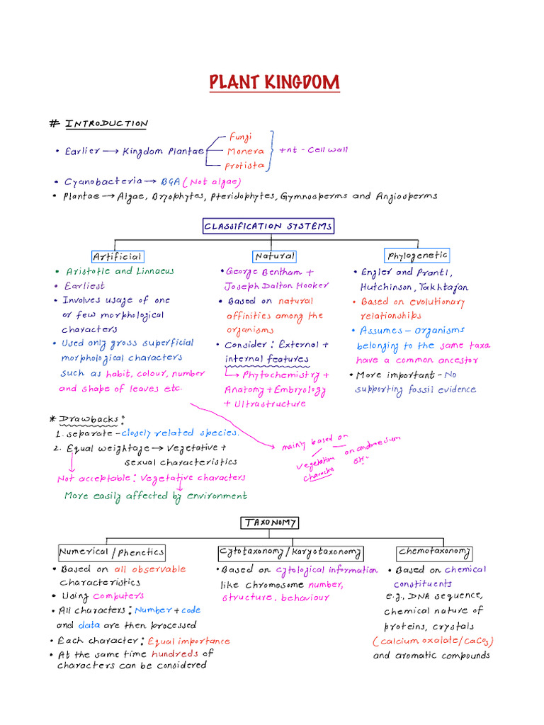 Overview of the Plant Kingdom | PDF