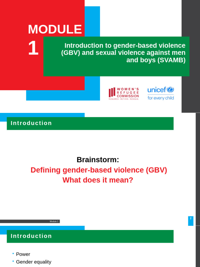 Supporting Survivors of Violence Module 1 | PDF | Violence Against ...