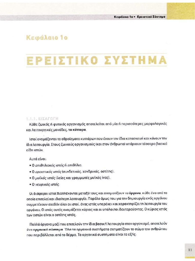 Ερειστικό συστημα | PDF