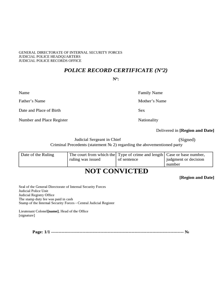 Eng Police Record Sample | PDF