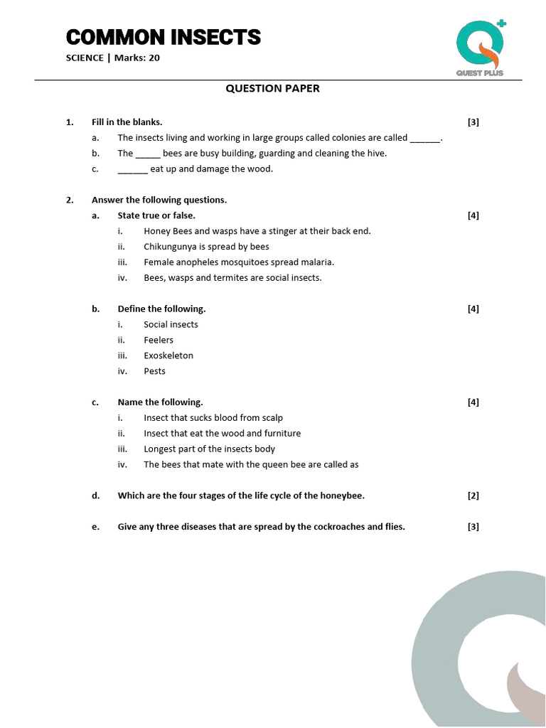 Common_insects_-_PTP_Question_Paper133565936626685075 | PDF