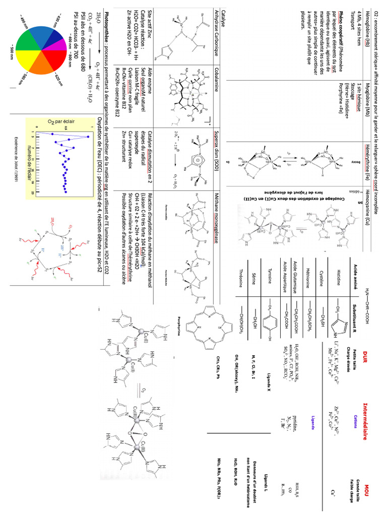 Fiche Bio Inorga | PDF