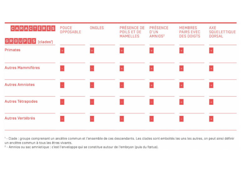 Classification SVT | PDF