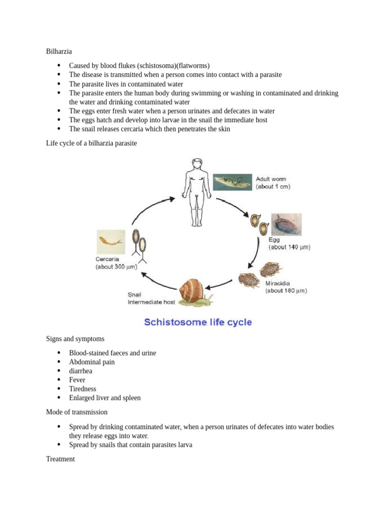 Bilharzia | PDF