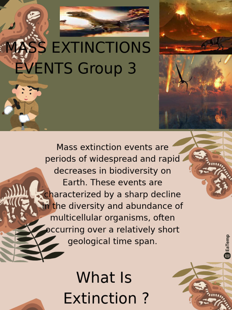 Understanding Mass Extinctions and Causes | PDF | Extinction | Biodiversity