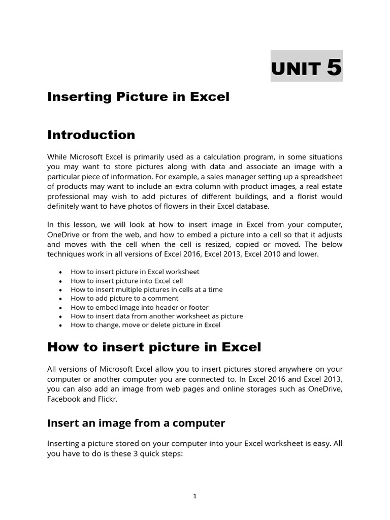 Unit 5 Inserting Picture | PDF | Microsoft Excel | Software