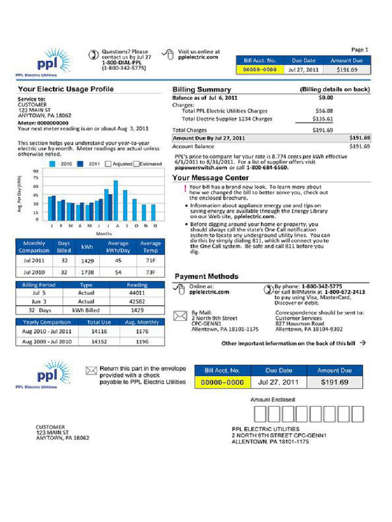 Company Bill Summary | PDF