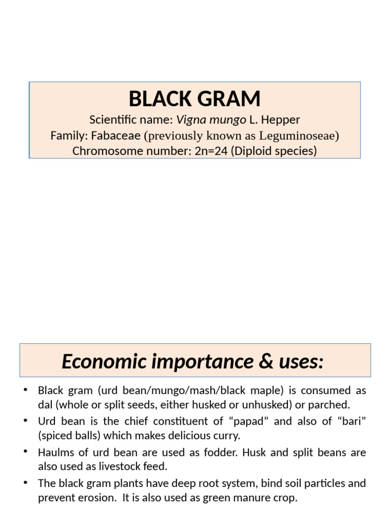 BLACK-GRAM | PDF | Sowing | Legume