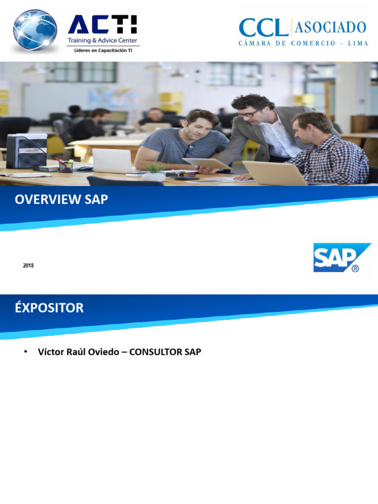 Sap Overview | PDF | Planificación de recursos empresariales | Business
