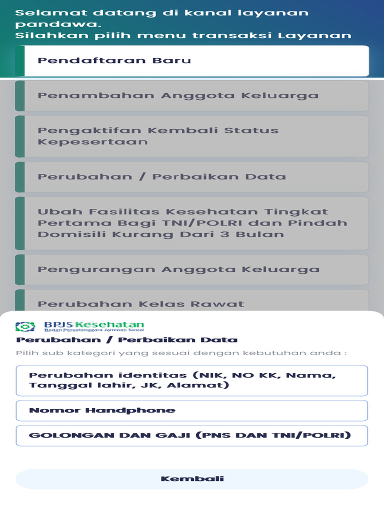 Bpjs Kesehatan E-Form | PDF