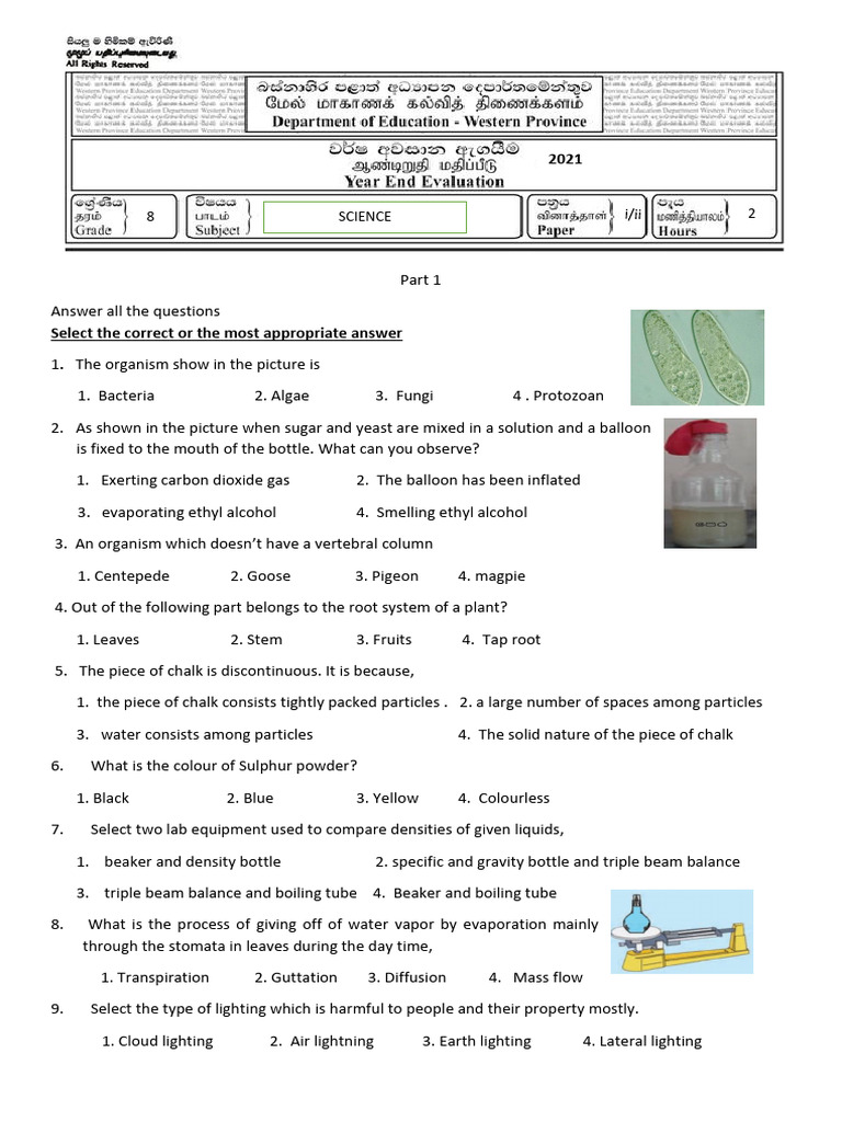 English Medium Grade 8 Science New | PDF | Water | Leaf
