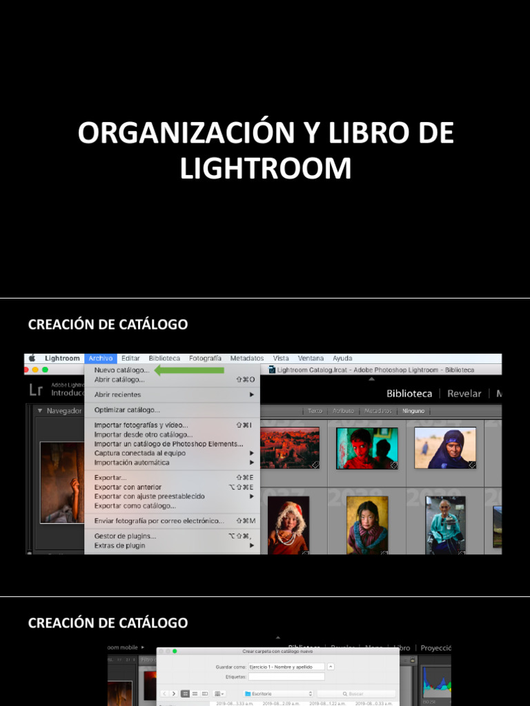 Selección de fotos en Lightroom | PDF | Verde | Visión