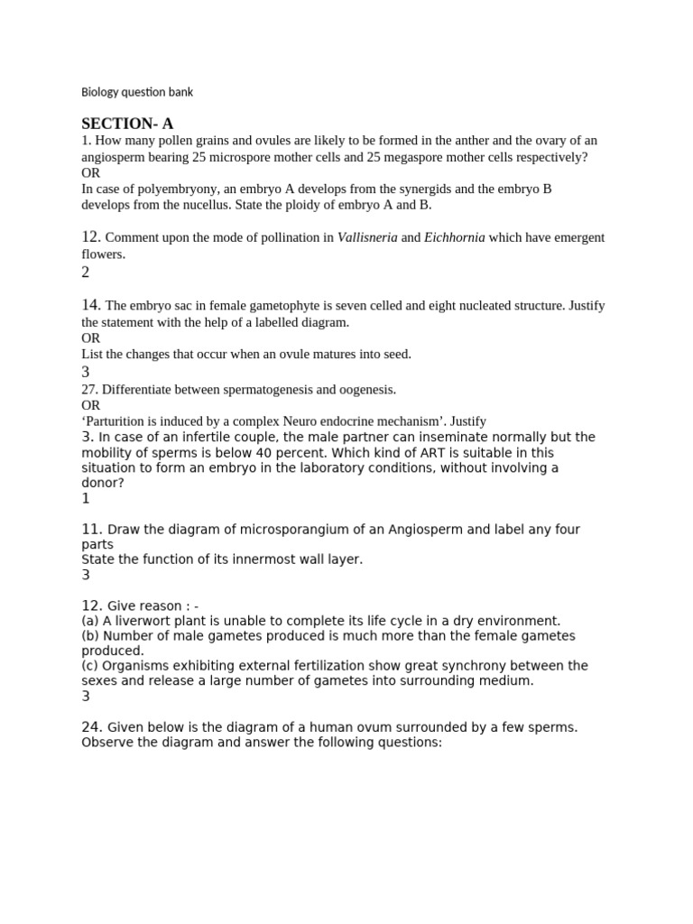 Biology question bank | PDF | Plants | Reproductive System