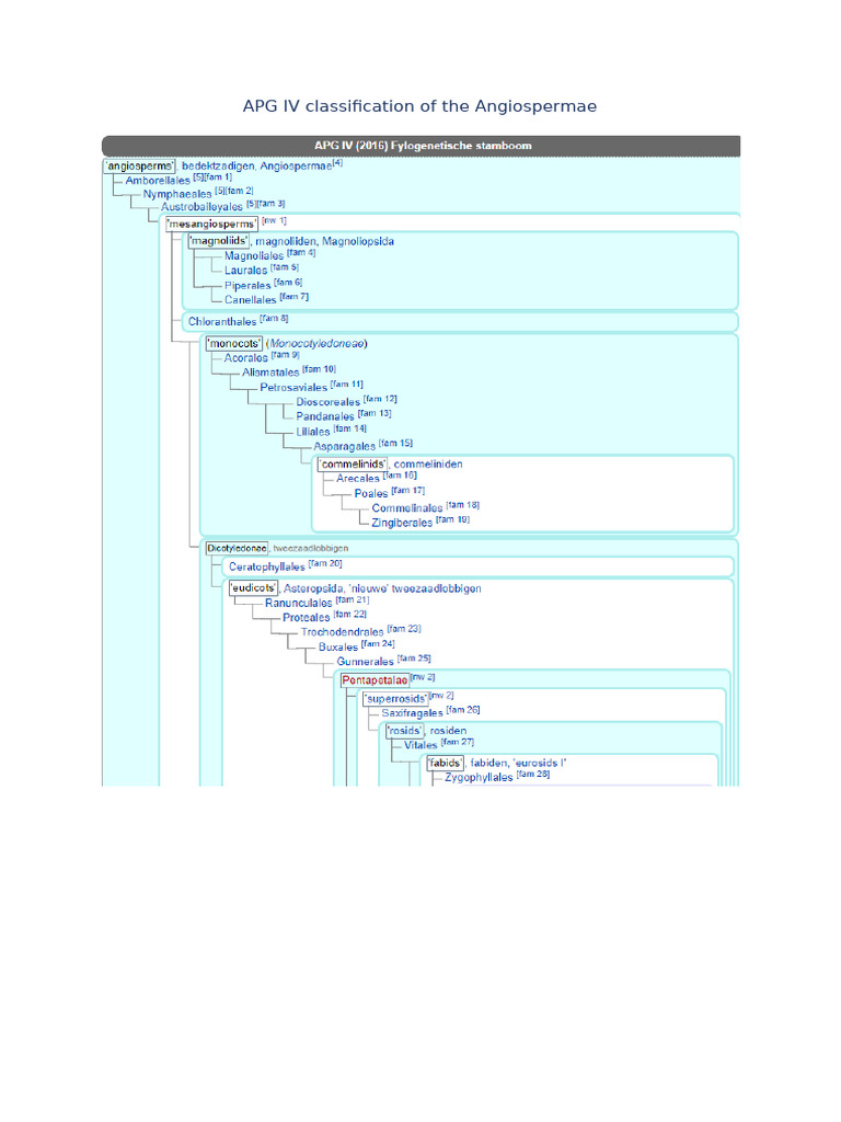 Plants APG IV Classification | PDF