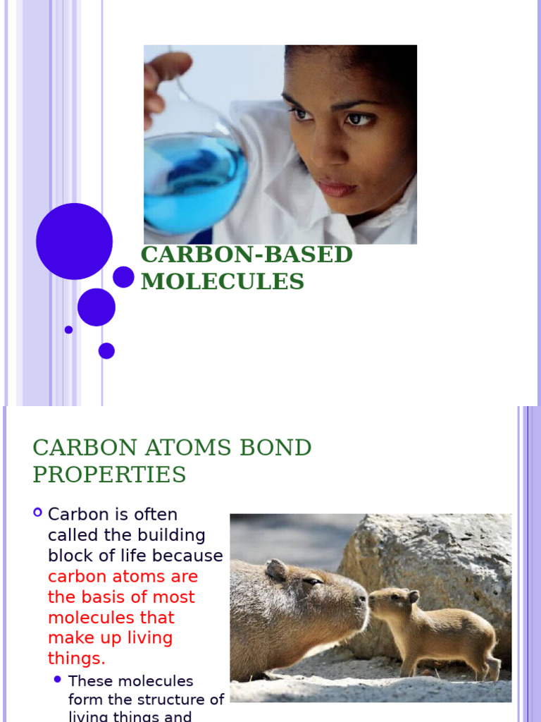Carbon Based Molecules | PDF | Carbohydrates | Fat