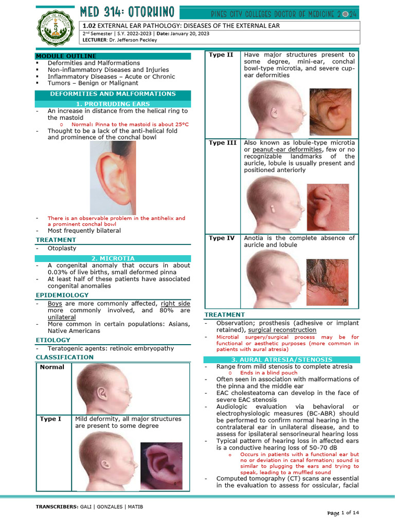 OTO-1.02-External-Ear-Pathology | PDF | Ear | Clinical Medicine
