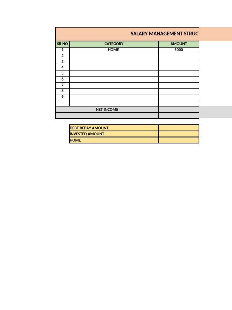 SALARY MANAGEMENT | PDF