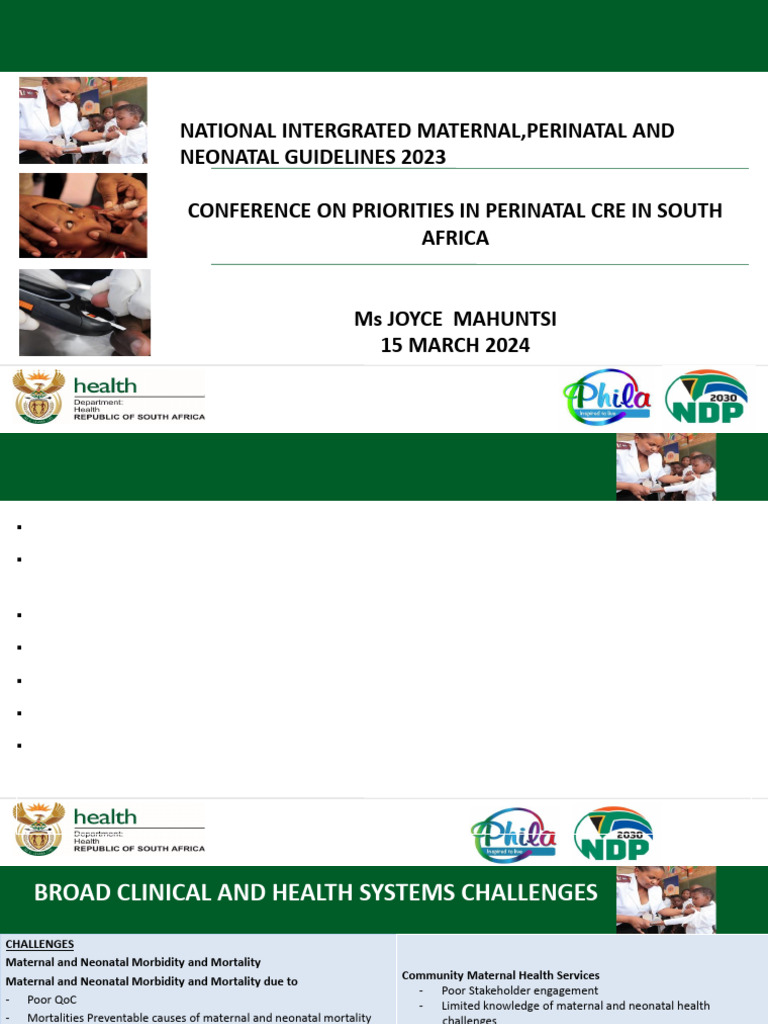 Mnh Guidelines Presentation Final 15 March Jm | PDF | Maternal Health ...