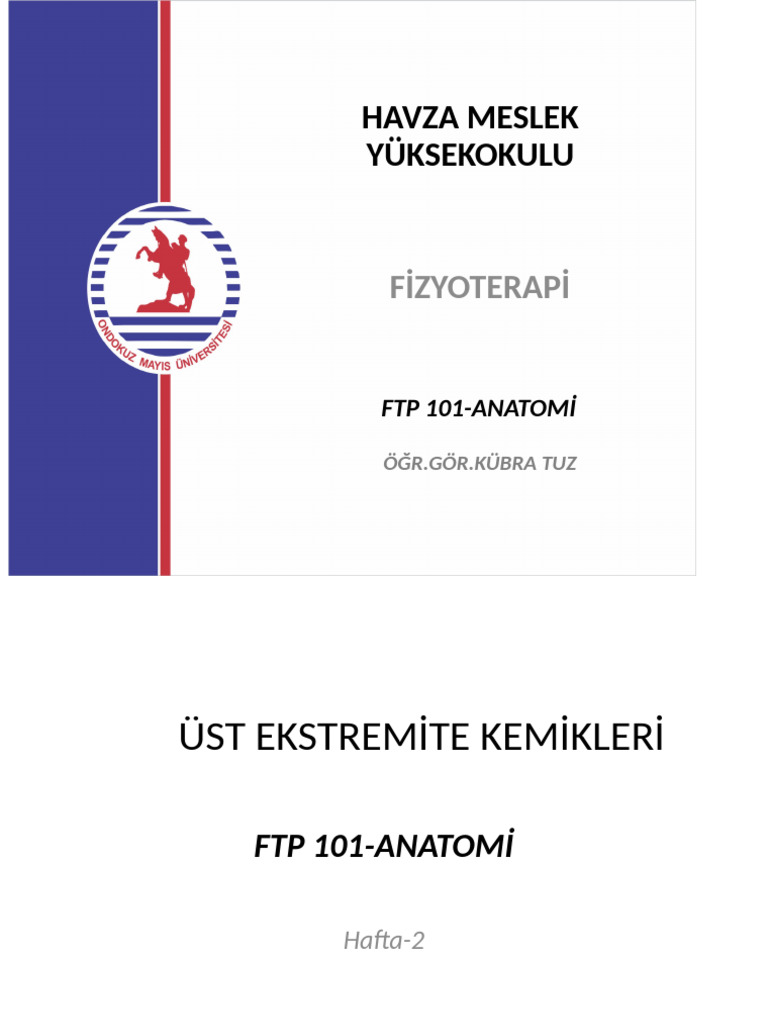 Anatomi 2.ders | PDF