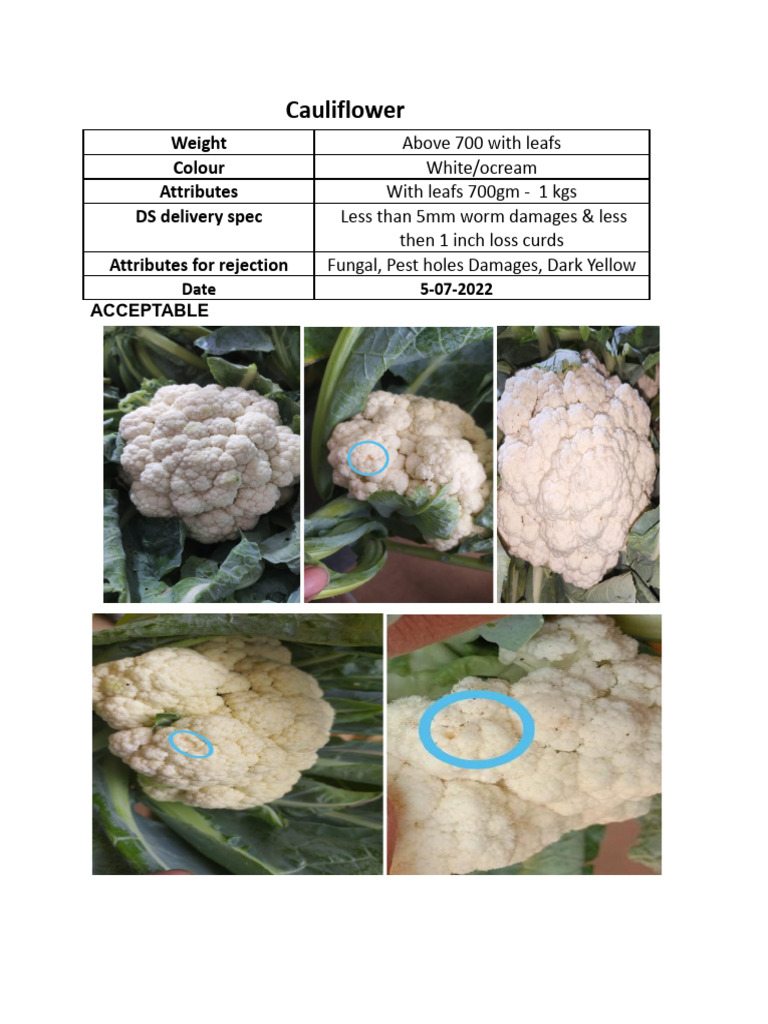 BLR - JBM 5th July 22 | PDF