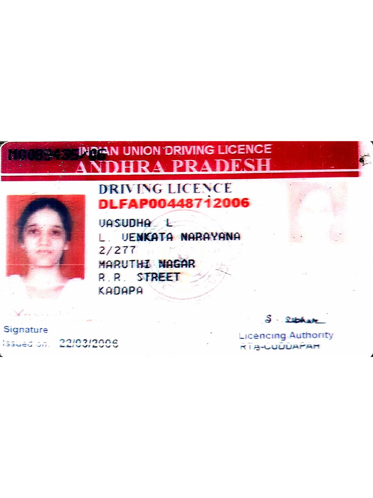 Driving Licence | PDF