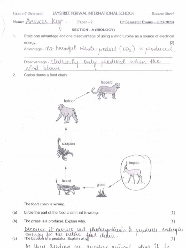 Grade 7 Paper 2 | PDF